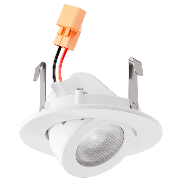 2 in. Round Adjustable LED Downlight | Step 1 Dezigns