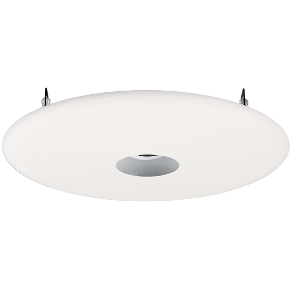 6 in Canless Round Adjustable Pinhole with Reflector | Step 1 Dezigns